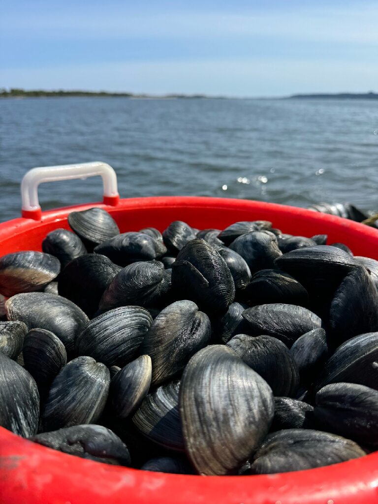 NJDEP| Fish & Wildlife | Inventory of New Jersey’s Estuarine Shellfish ...