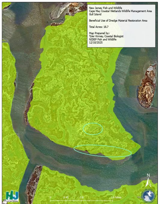 NJDEP| Fish & Wildlife | Wildlife Management Areas