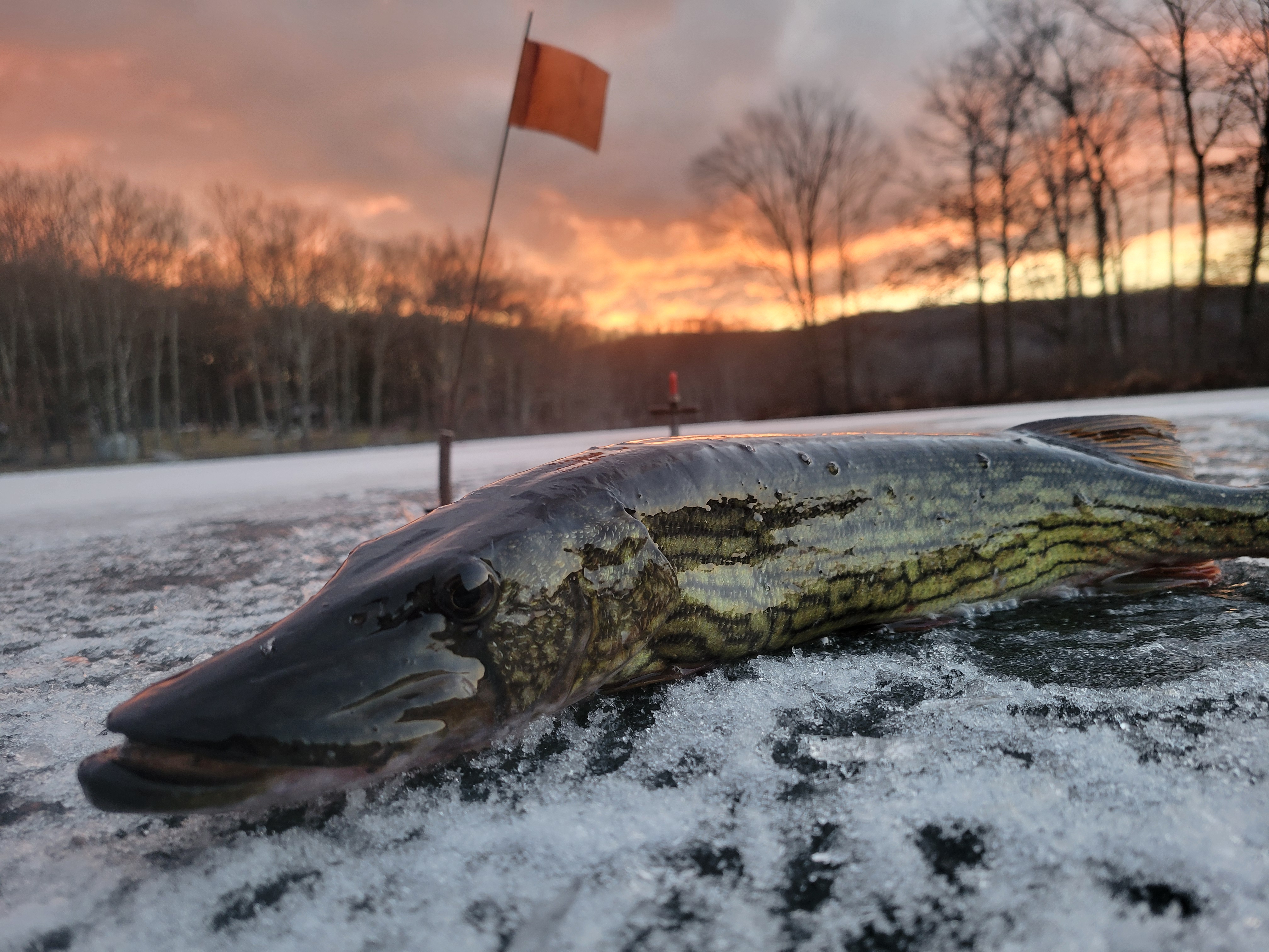 NJDEP| Fish & Wildlife | Ice Fishing in New Jersey