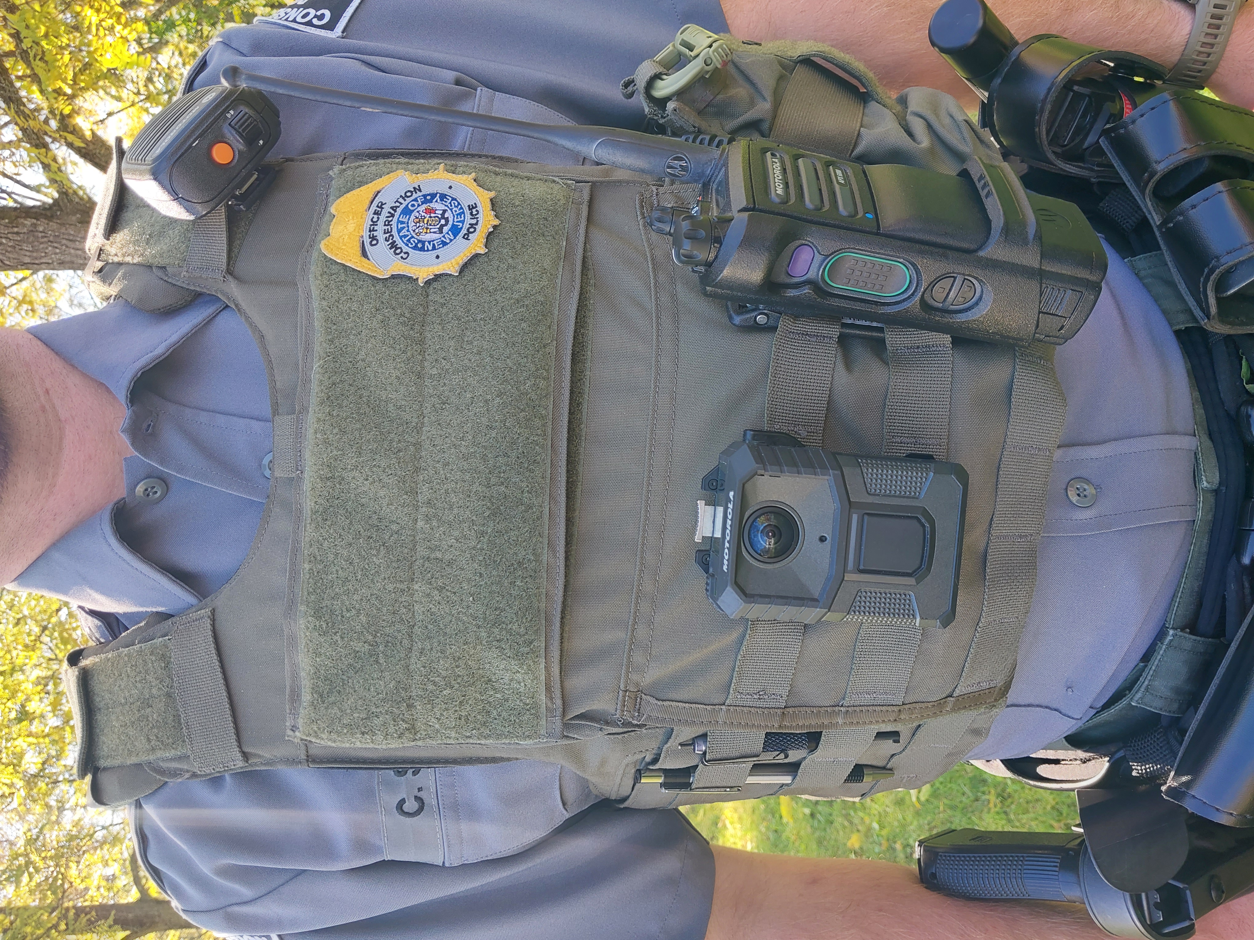 NJDEP| Fish & Wildlife | Reporting and Policy