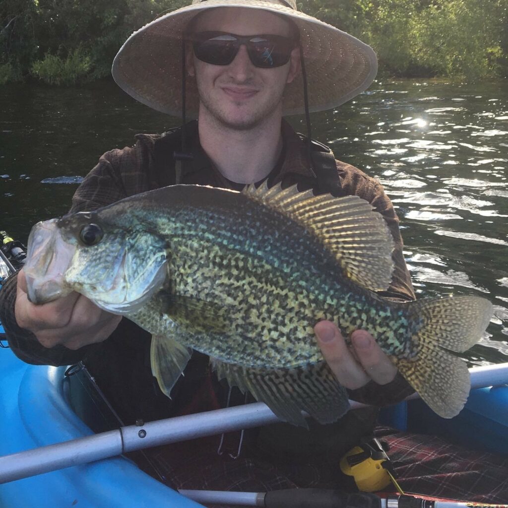 NJDEP| Fish & Wildlife | Black Crappie