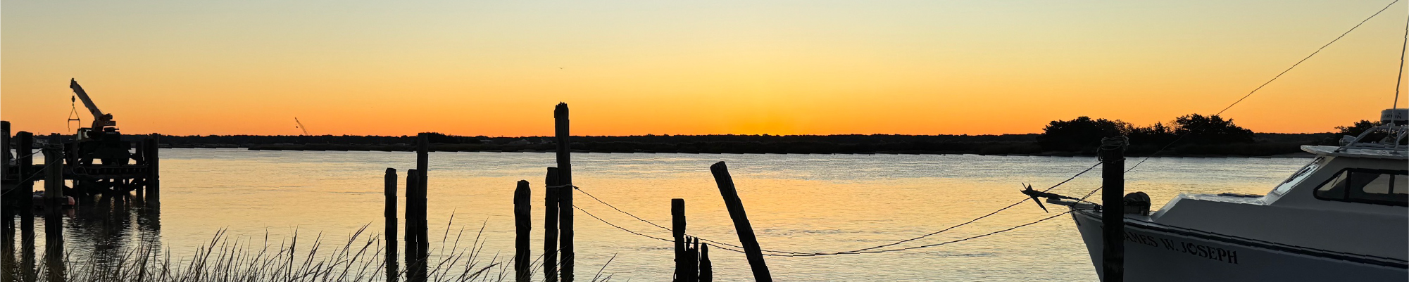 NJDEP| Fish & Wildlife | Delaware Bay Juvenile Finfish Trawl Survey