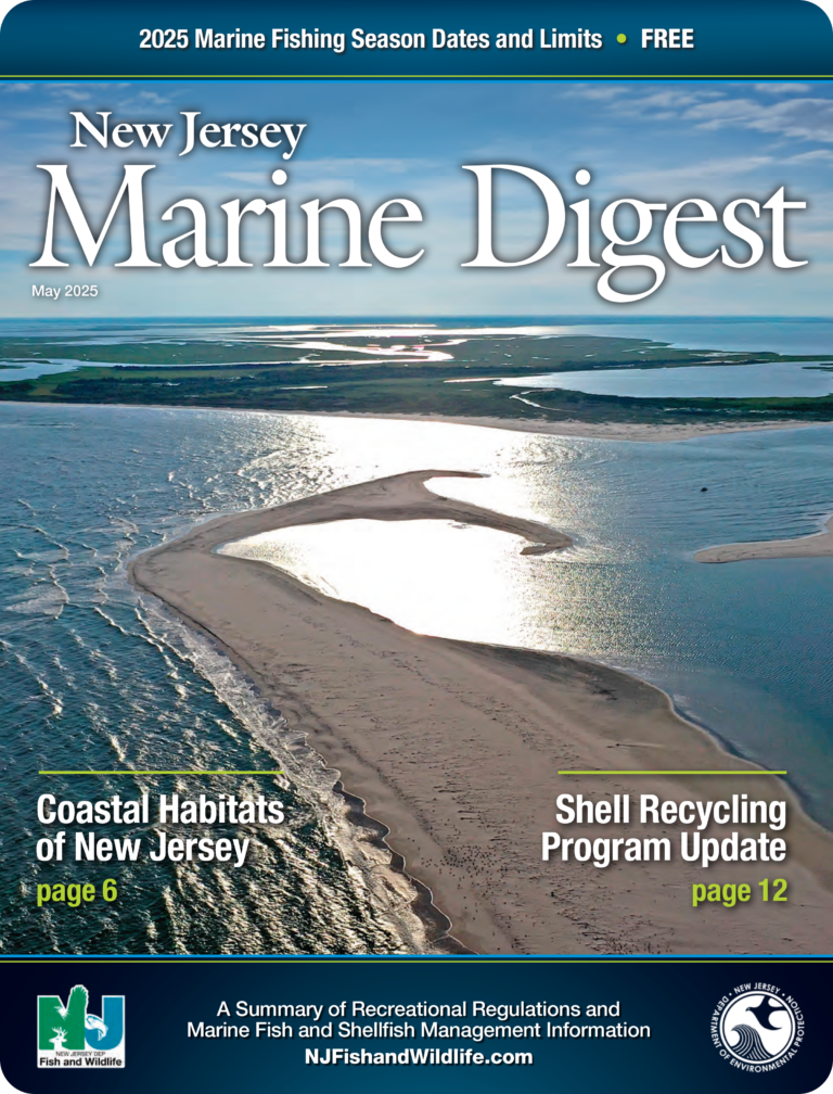 NJDEP| Fish & Wildlife | New Jersey Marine Digest