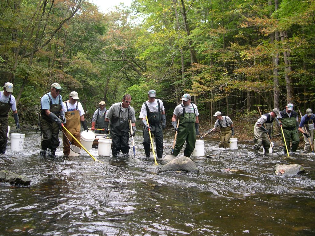 NJDEP| Fish & Wildlife | New Freshwater Fishing Regulations Effective ...