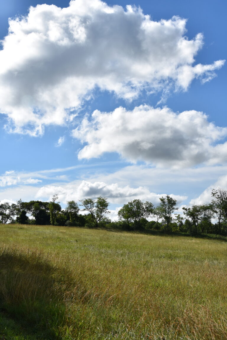 NJDEP| Fish & Wildlife | WMA of the Month - Clinton