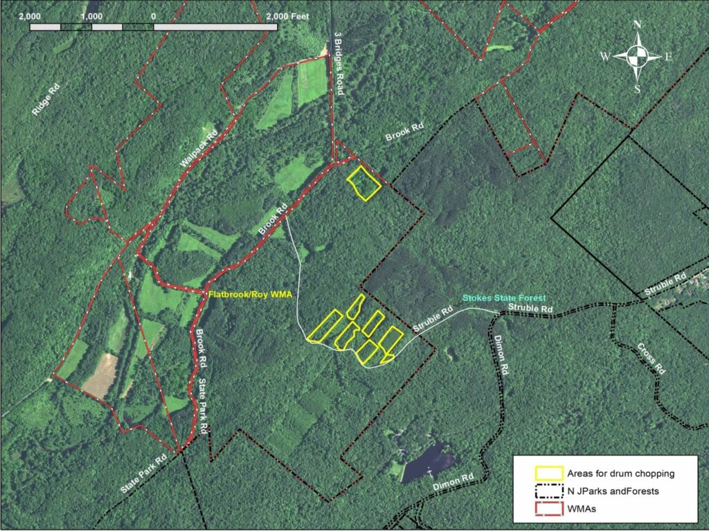 NJDEP| Fish & Wildlife | Maintaining Young Forest Habitat at Flatbrook ...