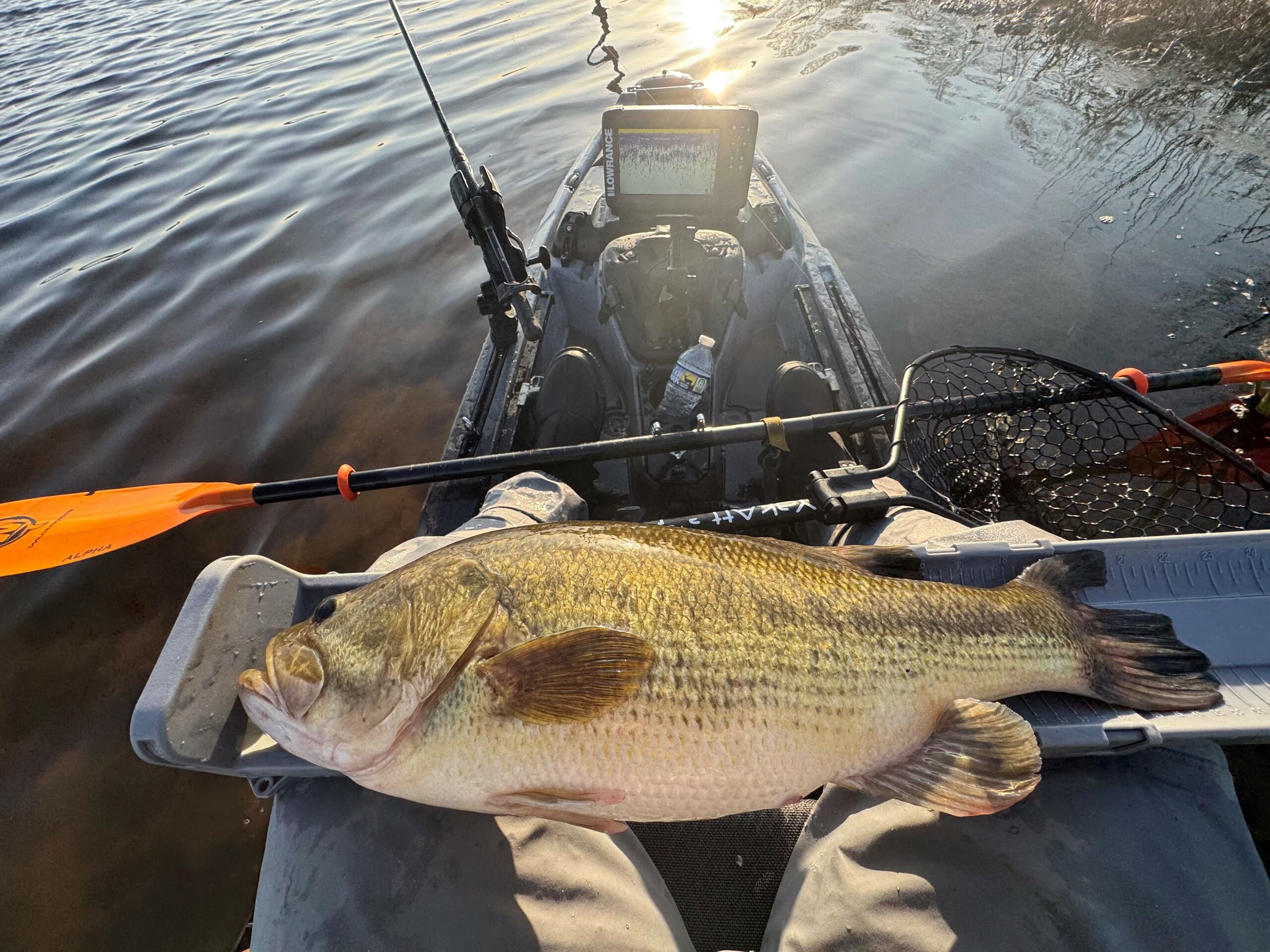 NJDEP| Fish & Wildlife | Skillful Angler Program Leaderboards