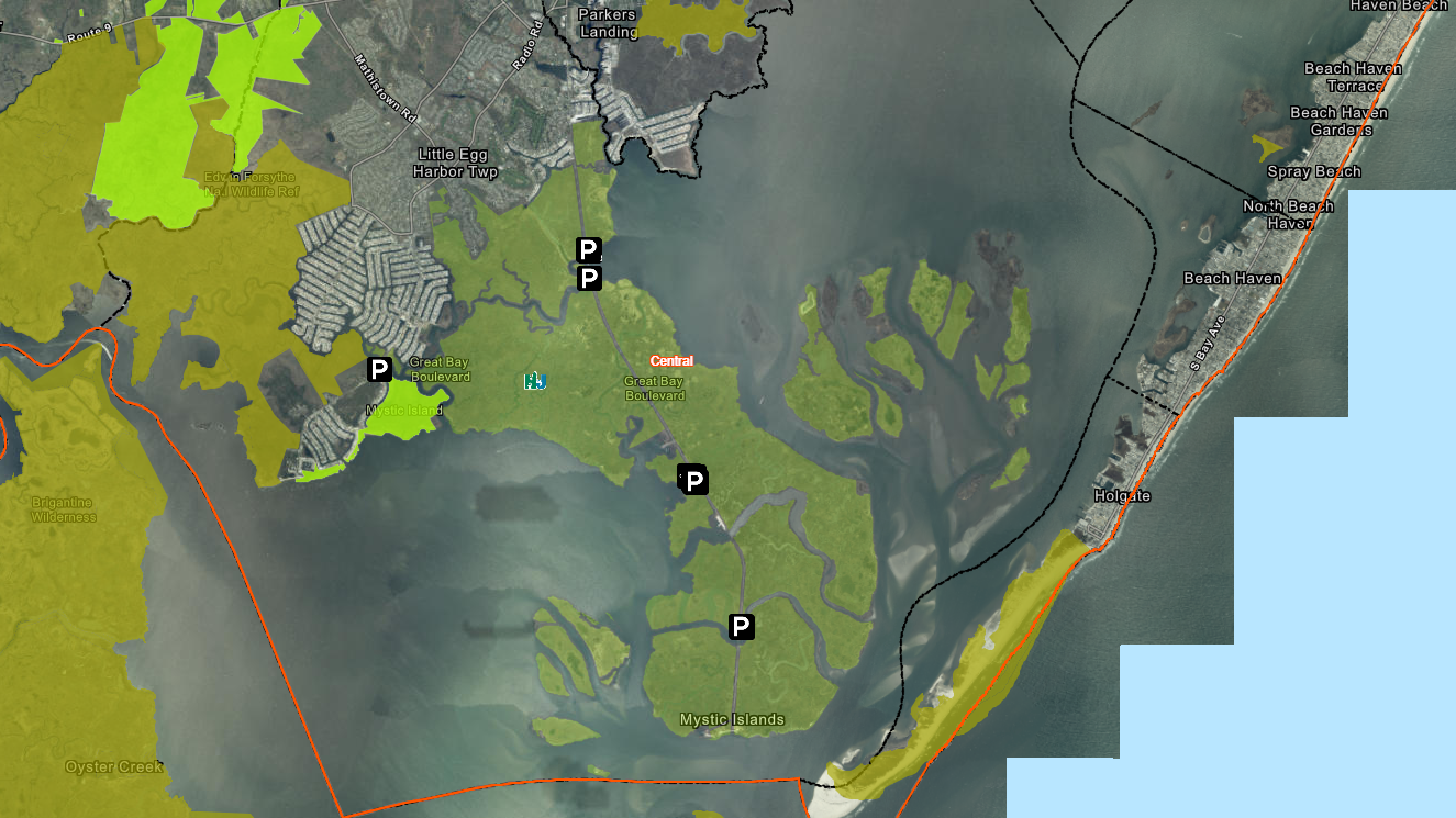 NJDEP| Fish & Wildlife | WMA of the Month - Great Bay Boulevard