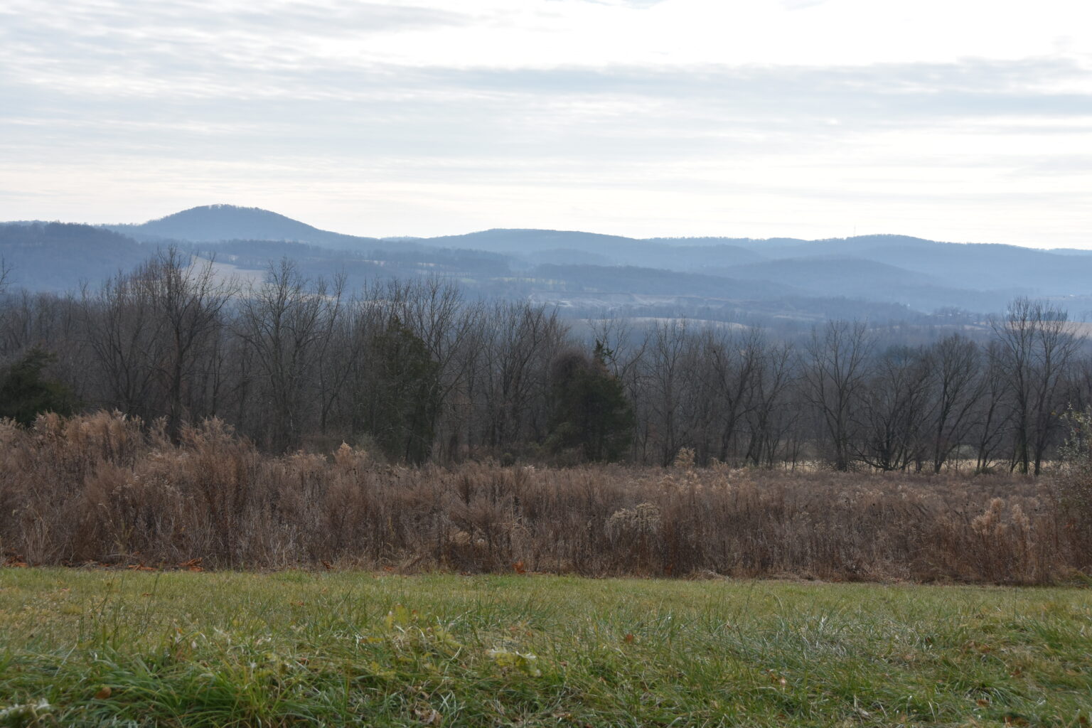 NJDEP| Fish & Wildlife | WMA of the Month - Beaver Brook