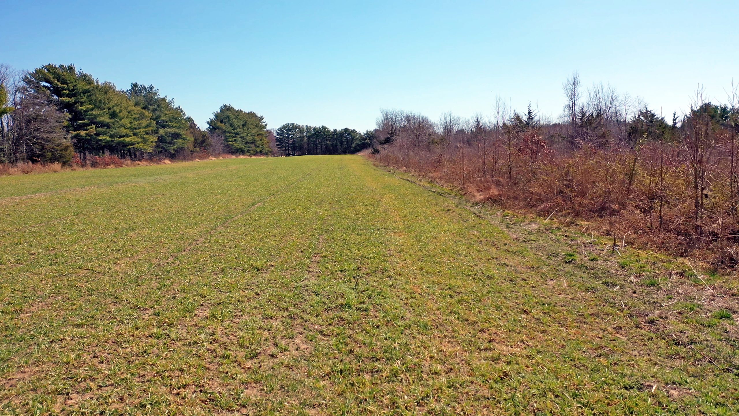 NJDEP| Fish & Wildlife | WMA Highlight - Dennis Creek