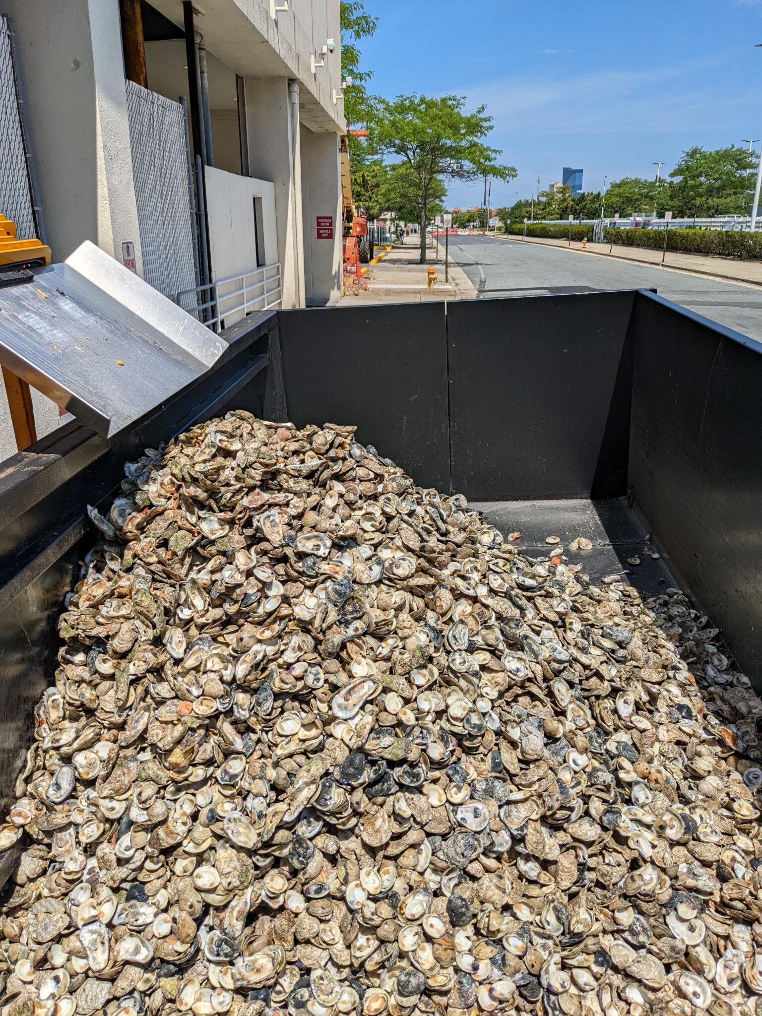 NJDEP| Fish & Wildlife | Shell Recycling Program