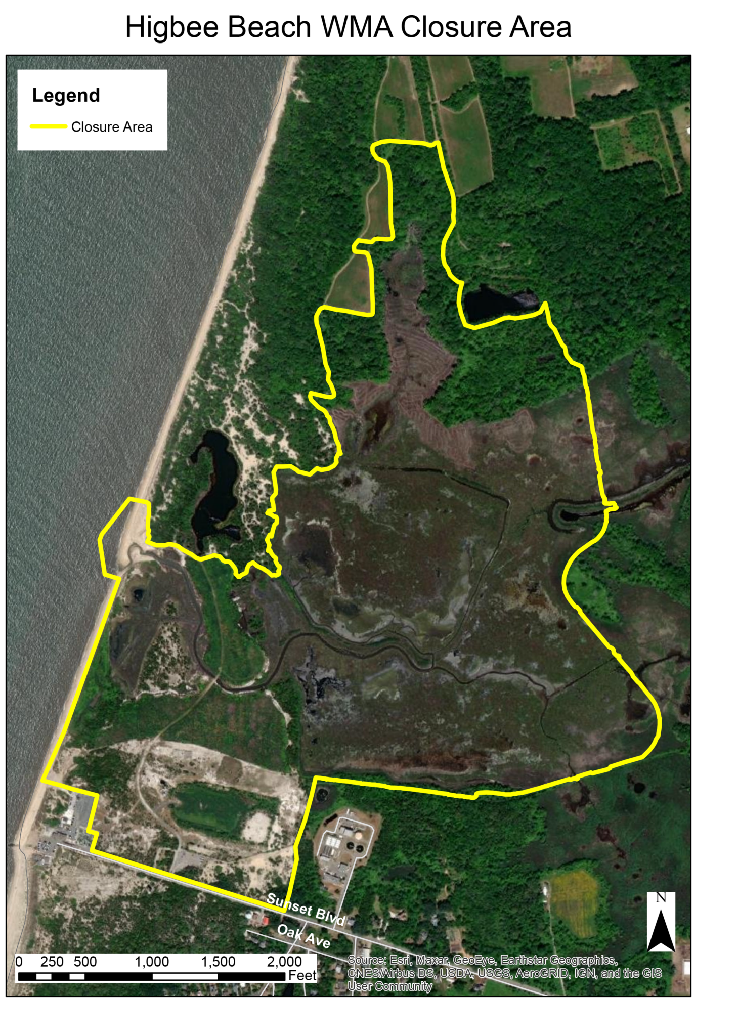 NJDEP| Fish & Wildlife | Portions of Higbee Beach WMA Closed through ...