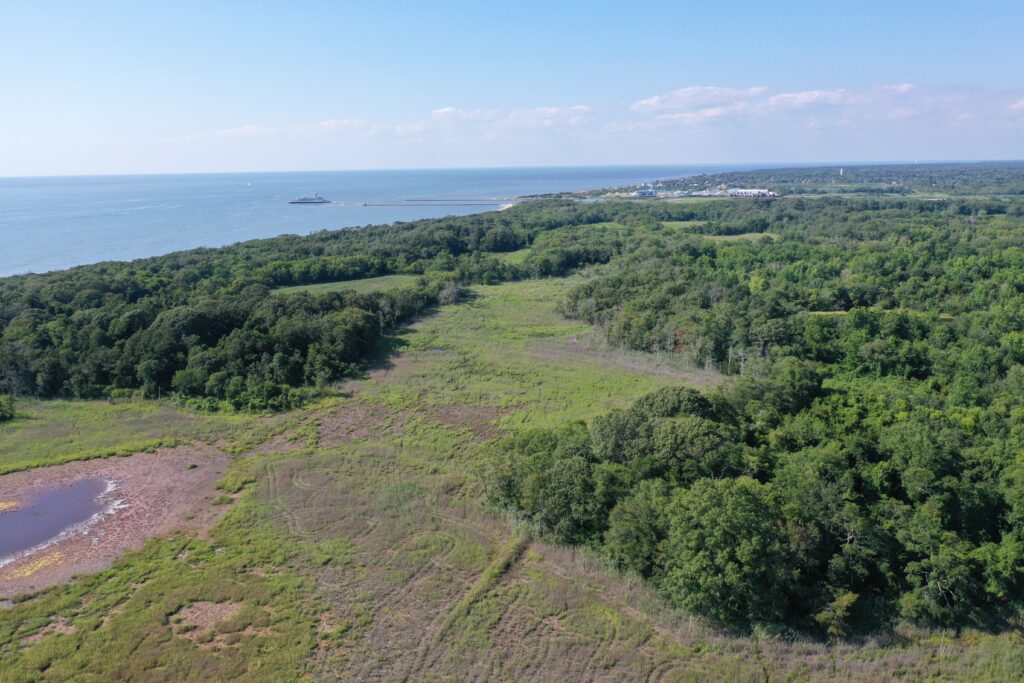 NJDEP| Fish & Wildlife | WMA of the Month: Higbee Beach