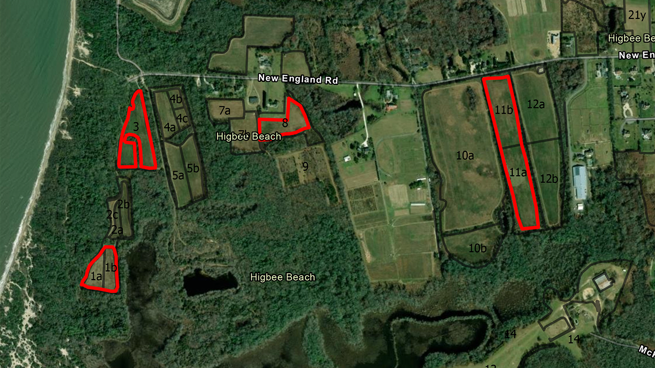 NJDEP| Fish & Wildlife | Native Meadow Establishment at Higbee Beach ...