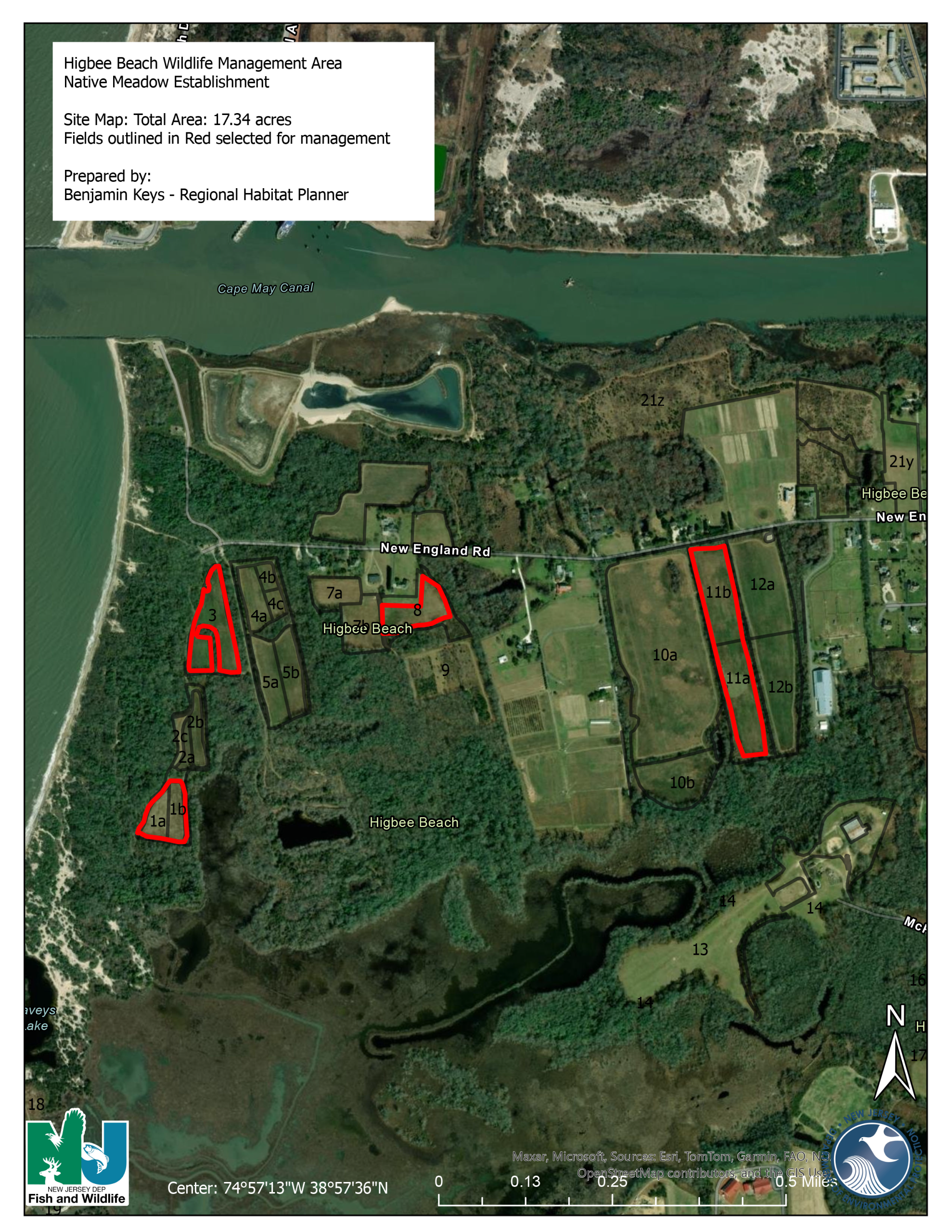 NJDEP| Fish & Wildlife | Native Meadow Establishment at Higbee Beach ...