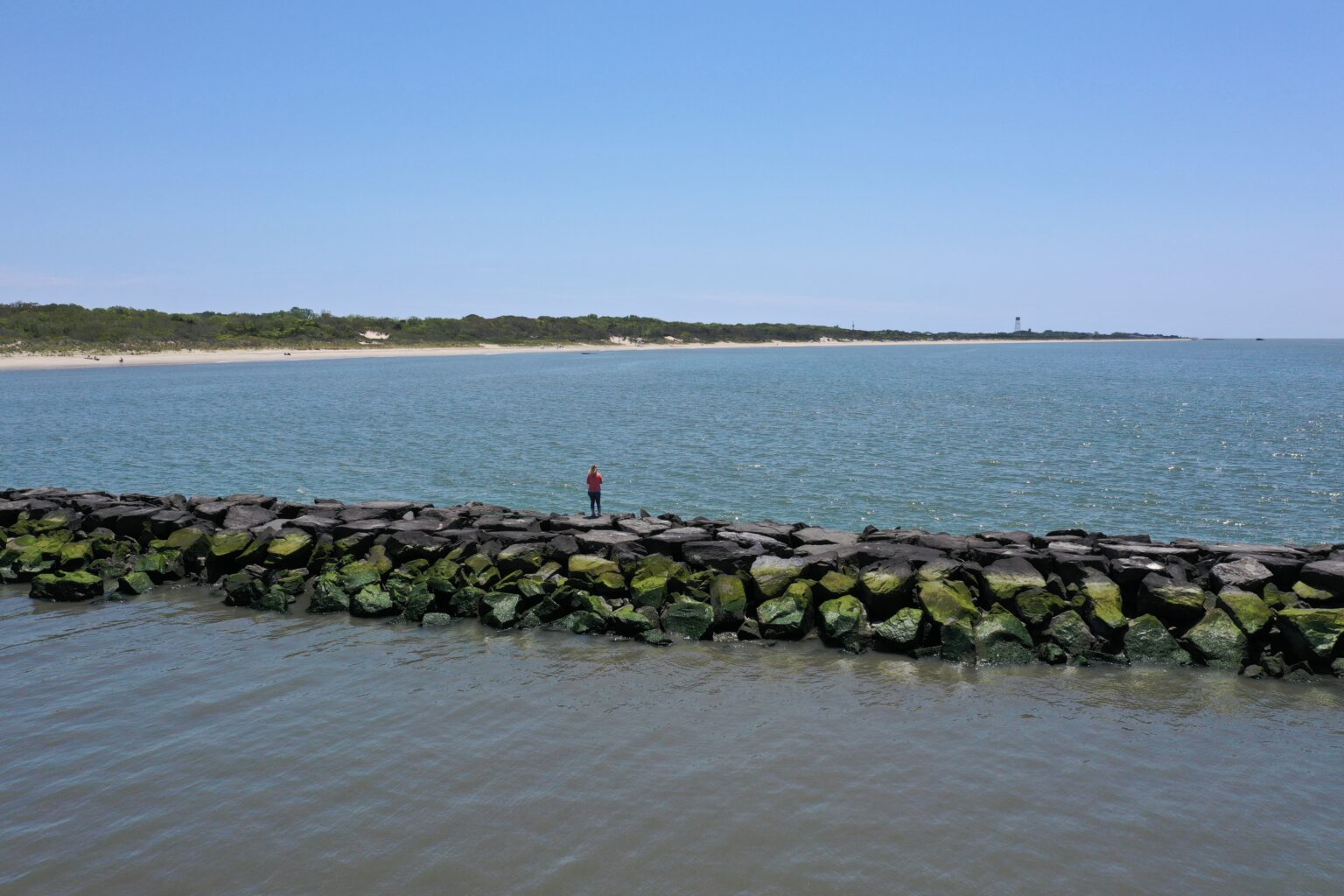 NJDEP| Fish & Wildlife | WMA of the Month: Higbee Beach