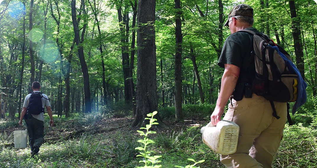 Hunting | Fish & Wildlife