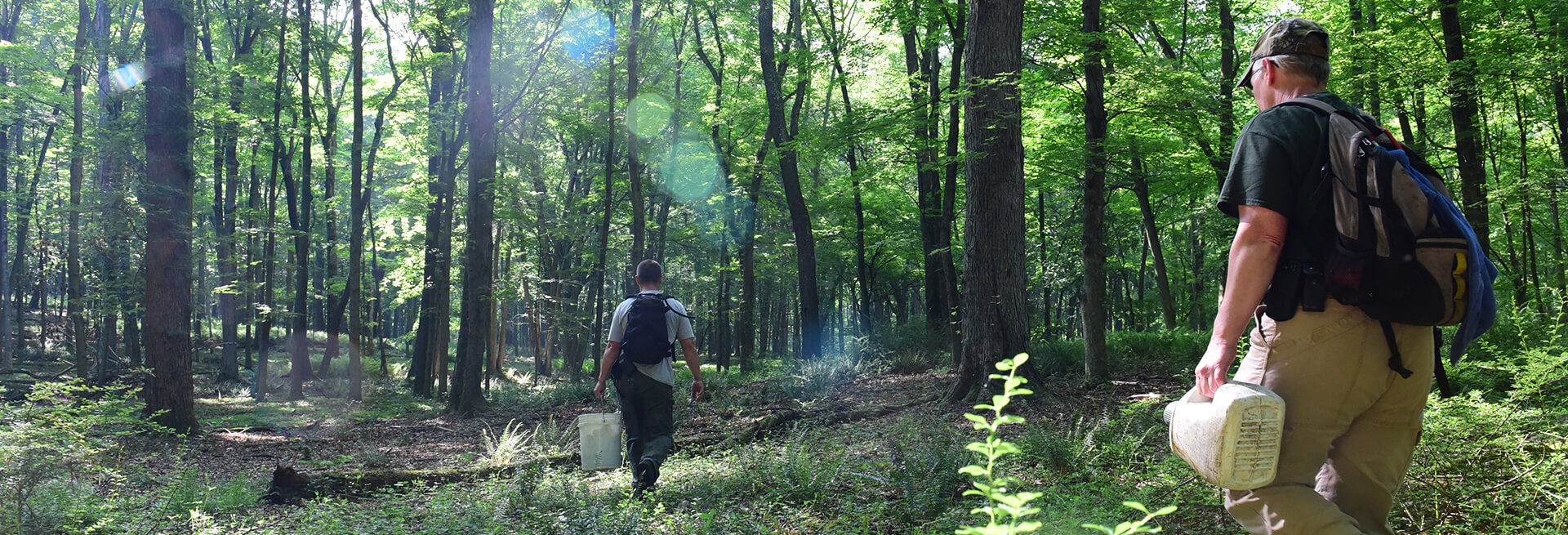 Hunting | Mission And Work | Fish & Wildlife