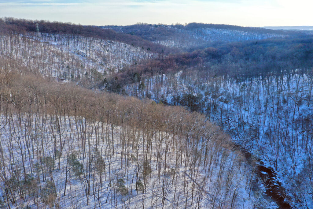 NJDEP| Fish & Wildlife | WMA of the Month: Ken Lockwood Gorge