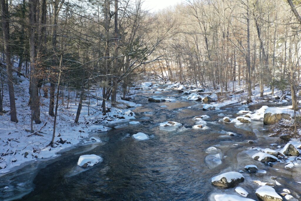 NJDEP| Fish & Wildlife | WMA of the Month: Ken Lockwood Gorge