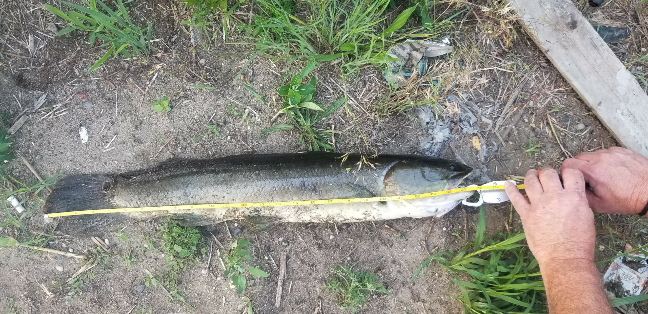 NJDEP| Fish & Wildlife | Skillful Angler Program Leaderboards