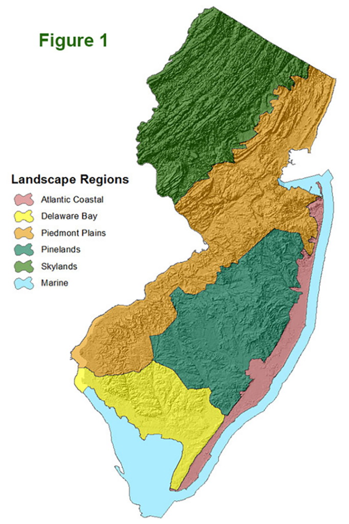 NJDEP| Fish & Wildlife | New Jersey's Landscape Project