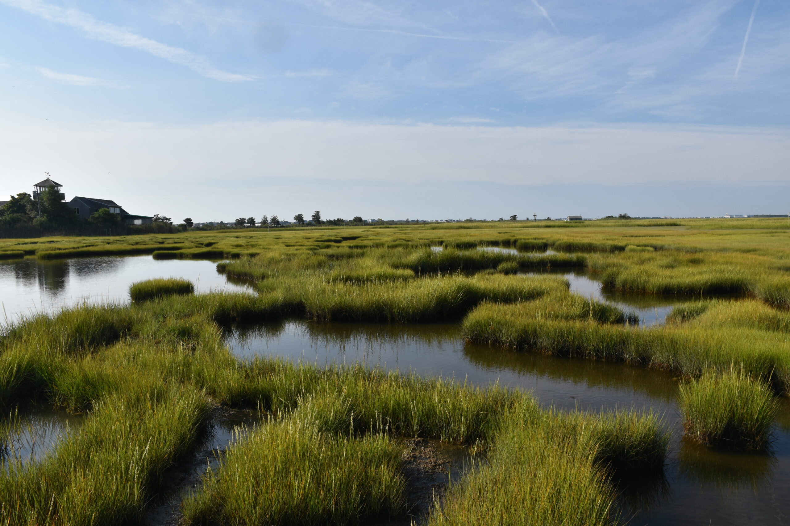 NJDEP| Fish & Wildlife | Beneficial Use of Dredge Materials at Scotch ...