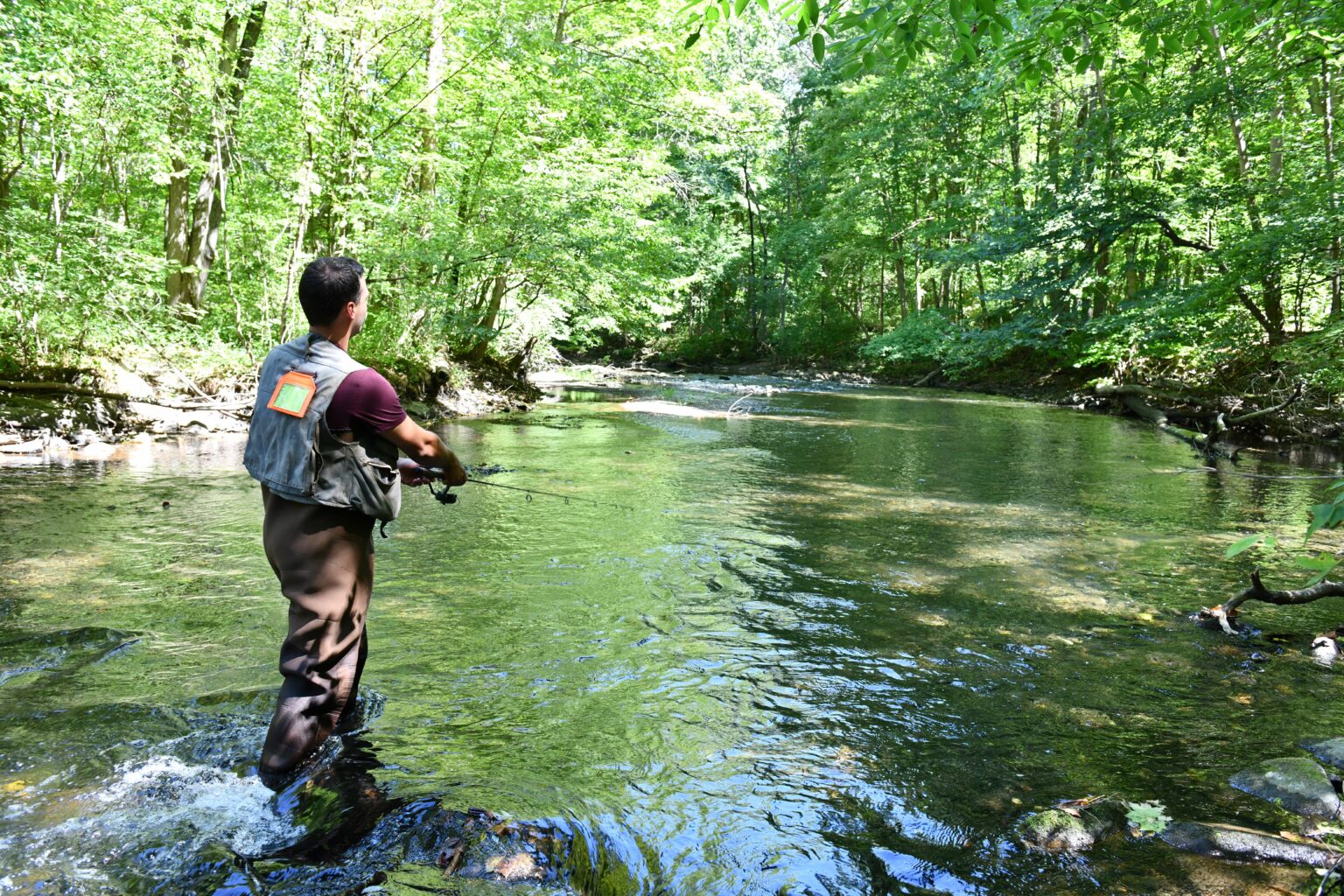 NJDEP| Fish & Wildlife | WMA of the Month - Pequest