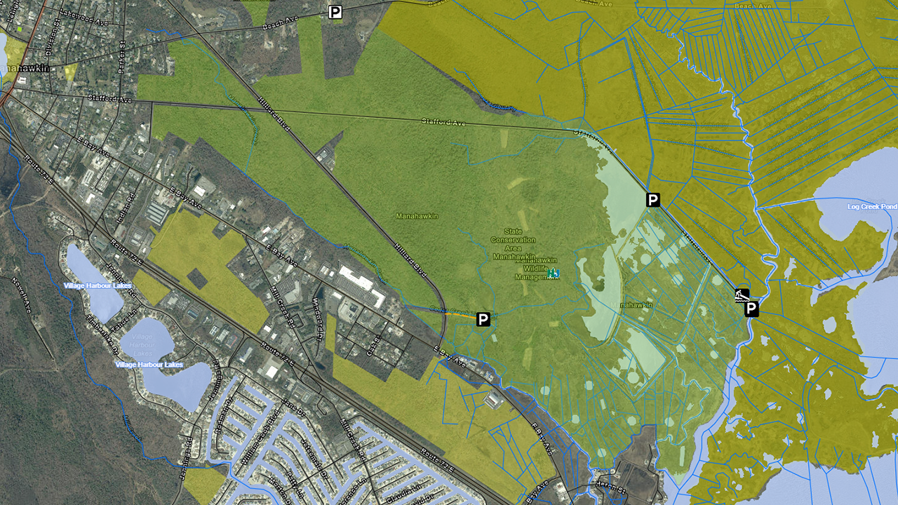NJDEP| Fish & Wildlife | WMA of the Month - Manahawkin