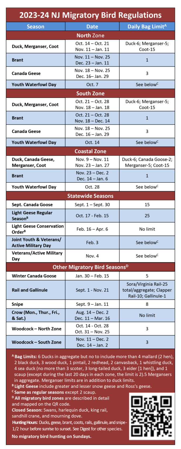 NJDEP| Fish & Wildlife | Waterfowl and Migratory Birds in New Jersey