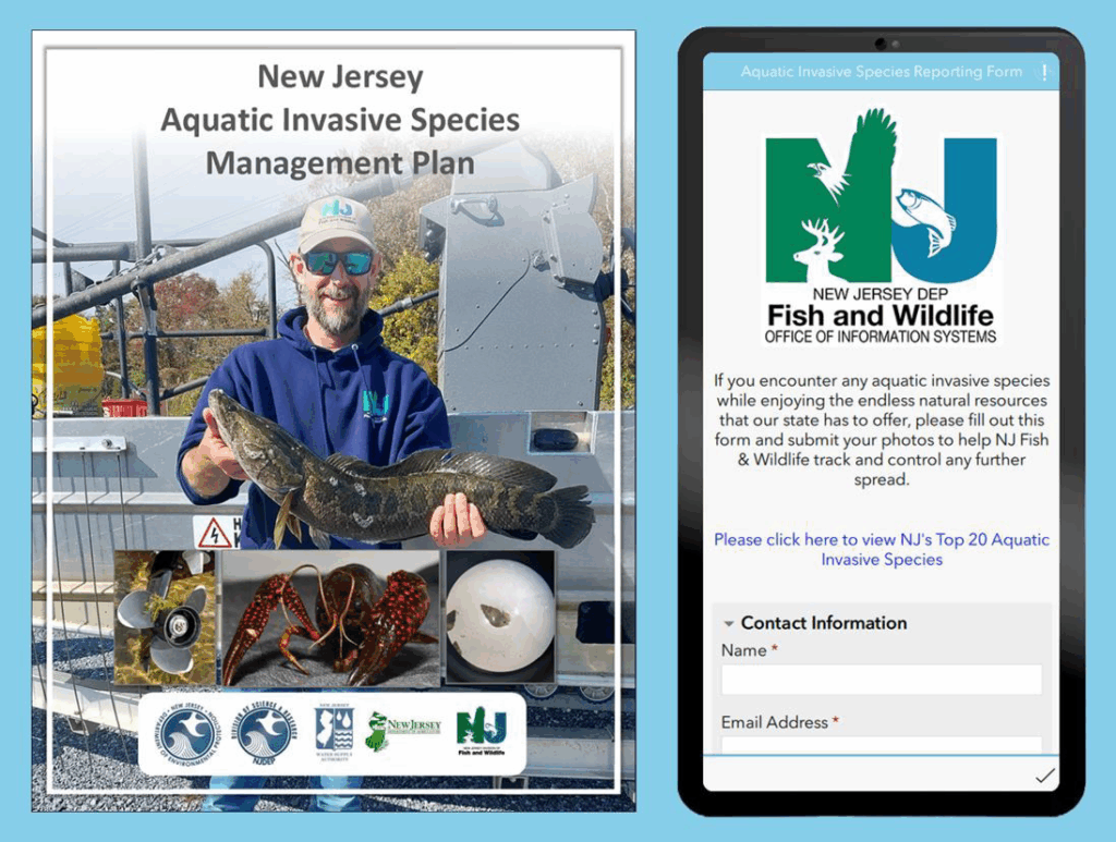 NJDEP| Fish & Wildlife | NJDEP Fish & Wildlife Needs Your Help! Report ...