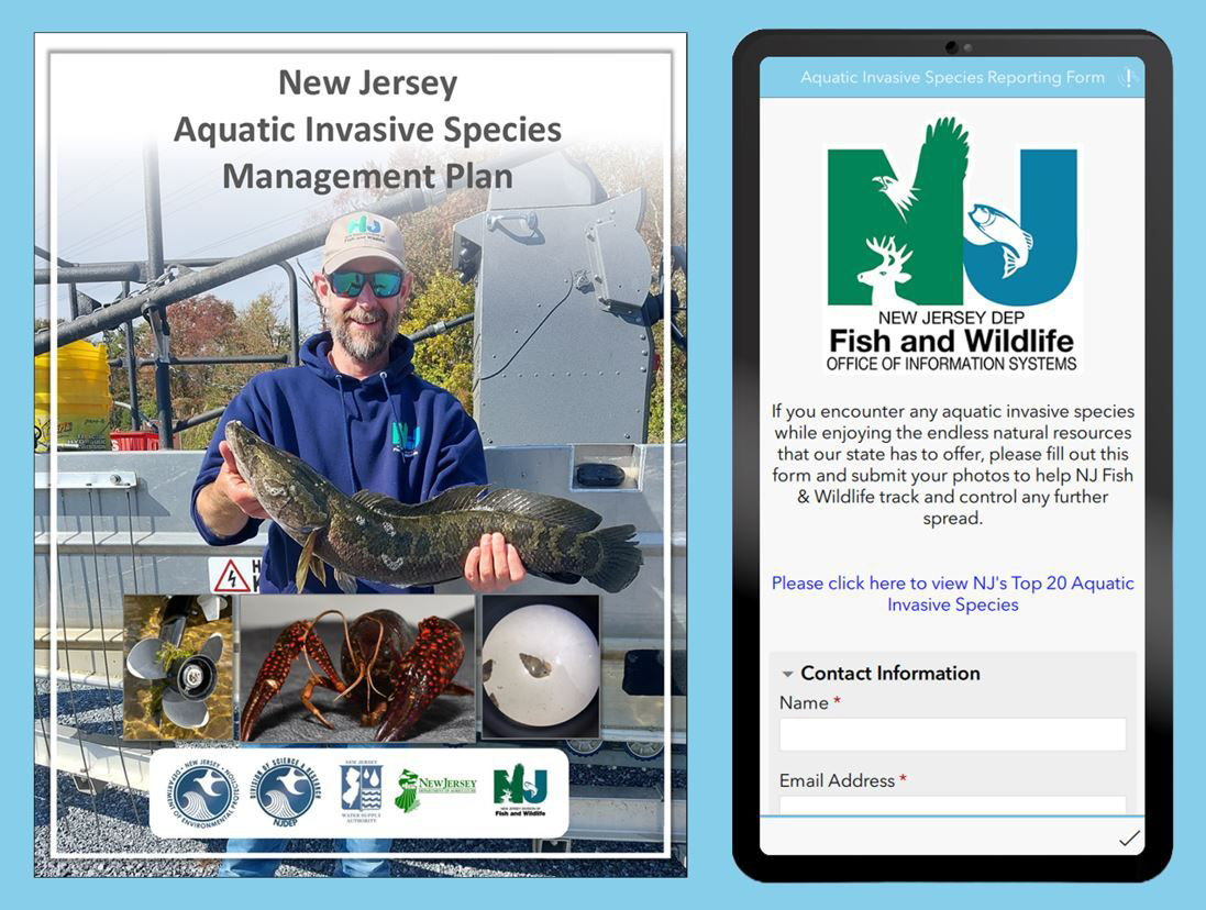 NJDEP| Fish & Wildlife | NJDEP Fish & Wildlife Needs Your Help! Report ...