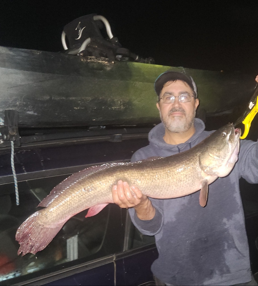 NJDEP| Fish & Wildlife | New State Record Bowfin