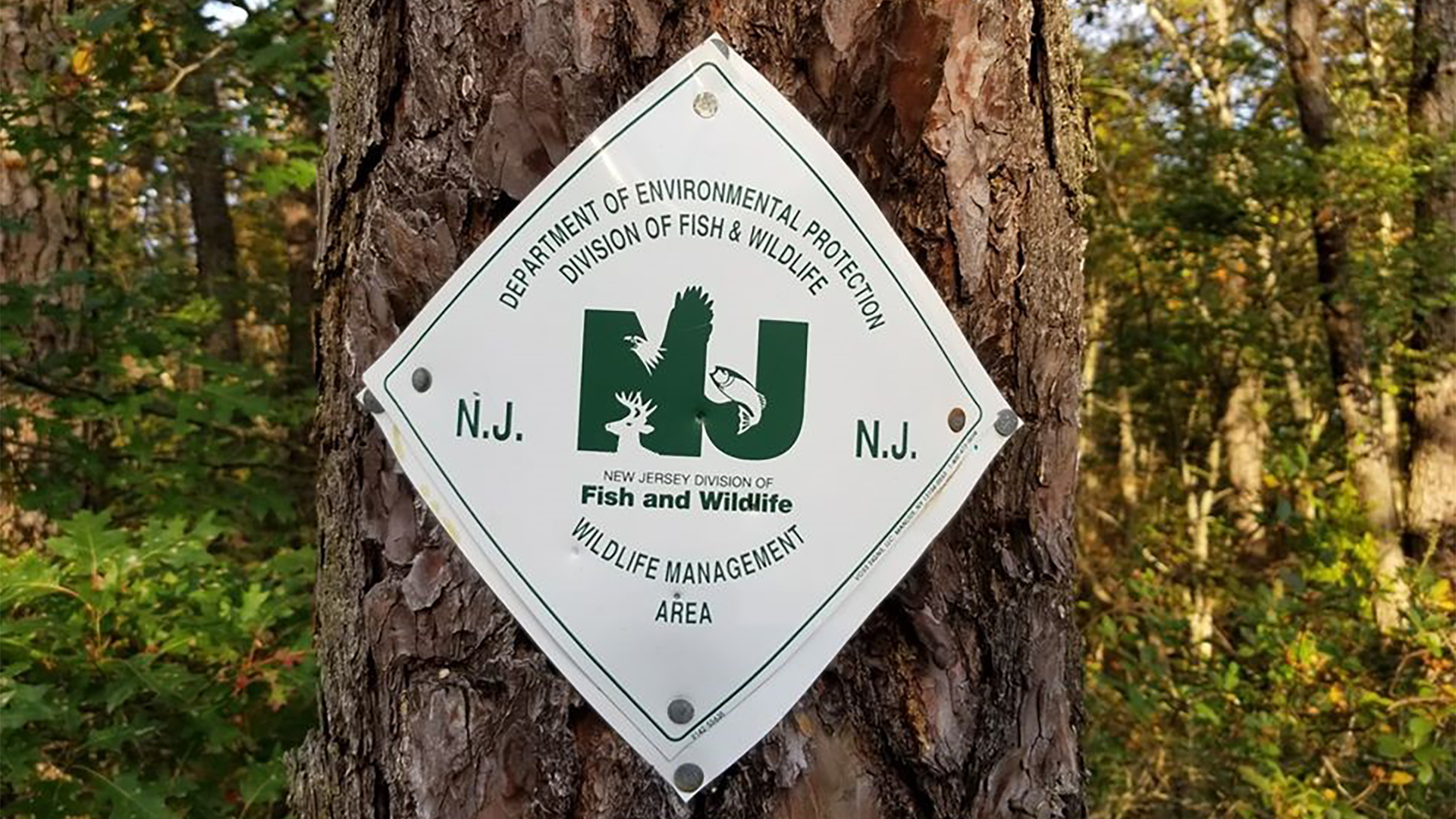 NJDEP| Fish & Wildlife | Seasonal Closures in Five WMAs in Effect May ...