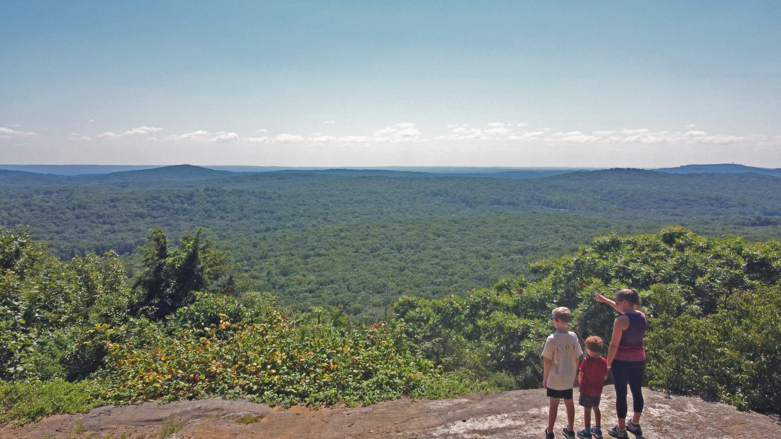 NJDEP| Fish & Wildlife | WMA of the Month - Wildcat Ridge