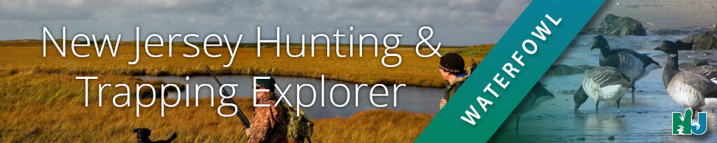 NJDEP| Fish & Wildlife | Waterfowl and Migratory Birds in New Jersey