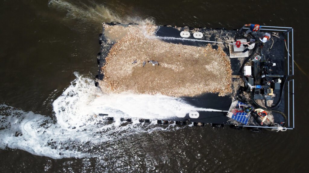 NJDEP| Fish & Wildlife | Shell Recycling Program