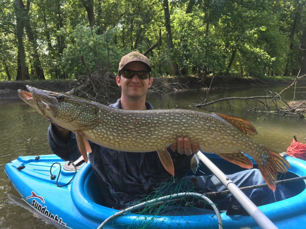 NJDEP| Fish & Wildlife | Northern Pike