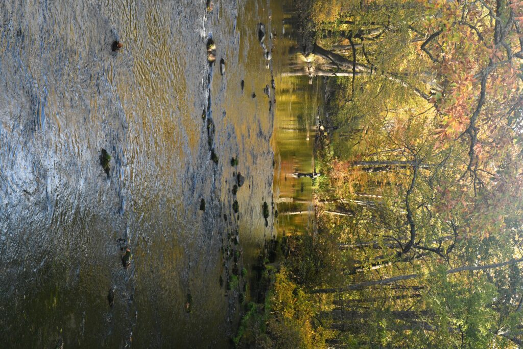 NJDEP| Fish & Wildlife | WMA of the Month - Pequest