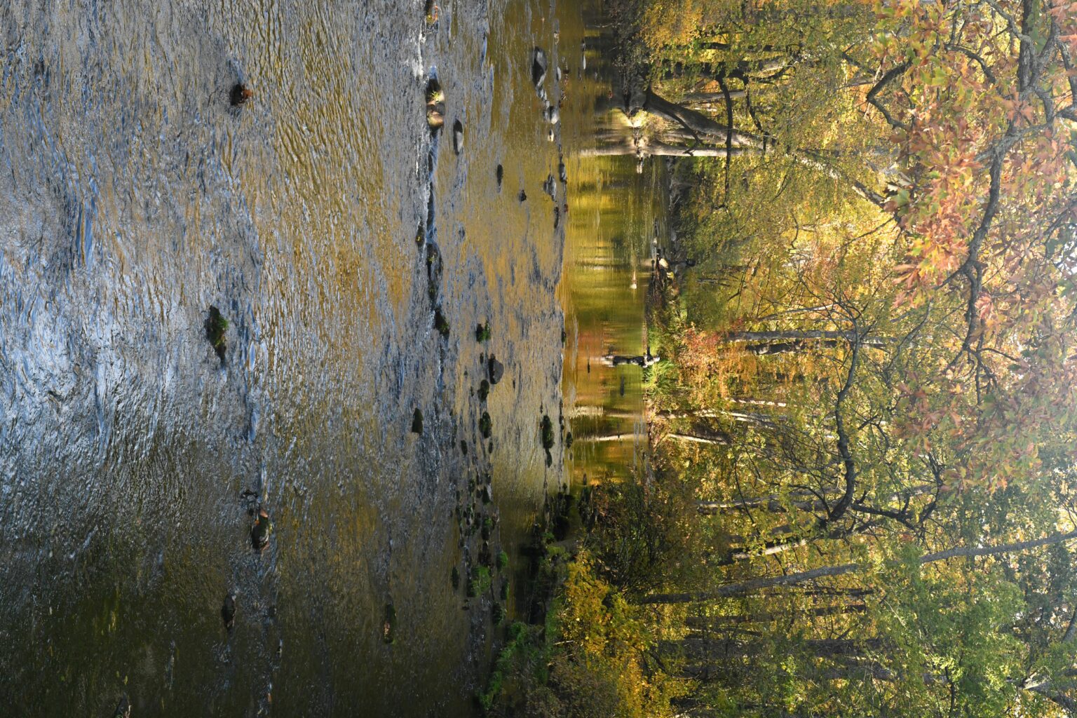 NJDEP| Fish & Wildlife | WMA of the Month - Pequest