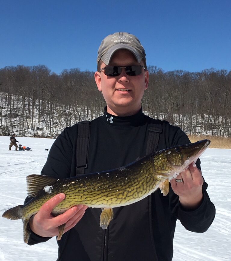 NJDEP| Fish & Wildlife | Chain Pickerel
