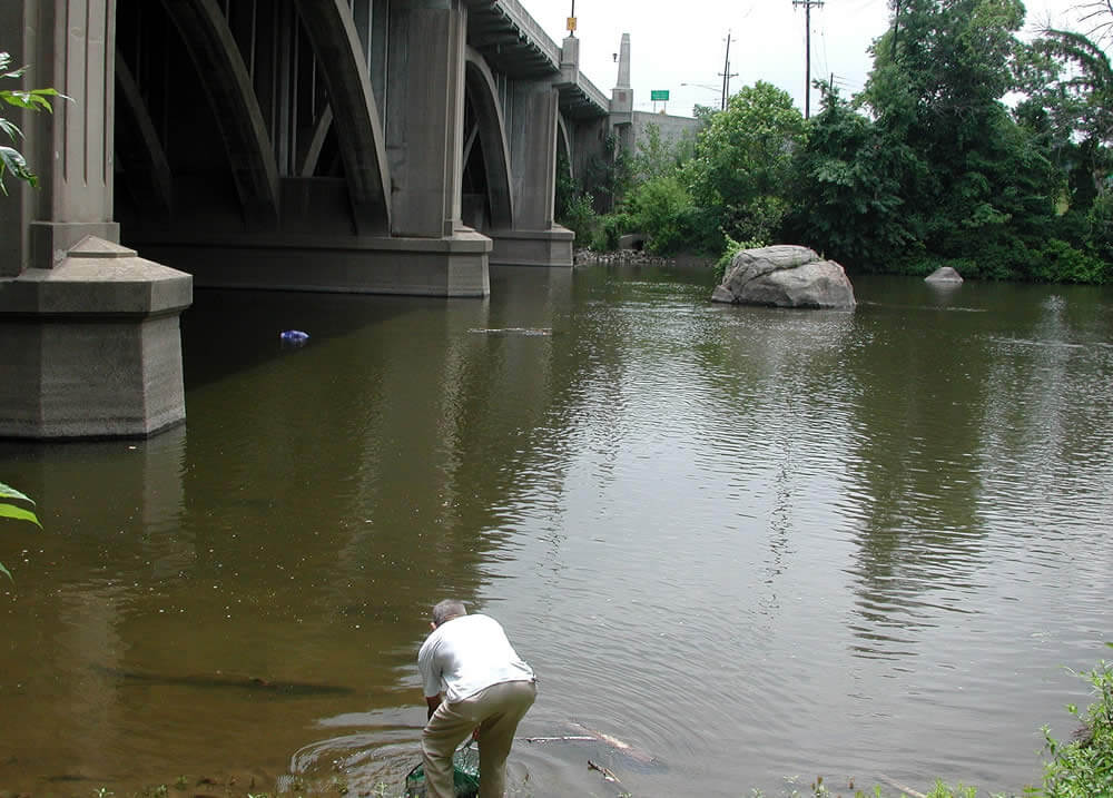 NJDEP| Fish & Wildlife | Passaic River Pike