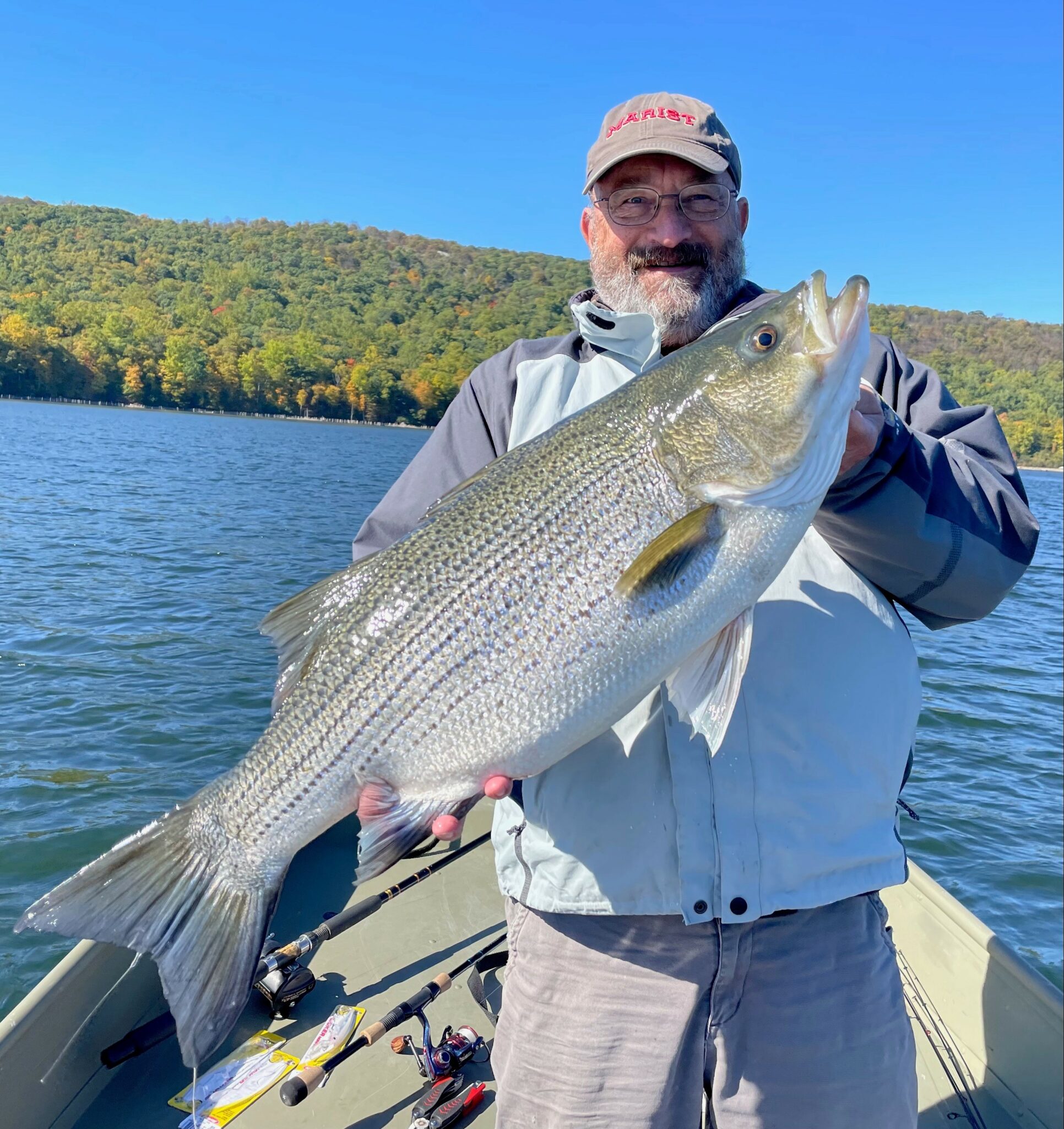 NJDEP| Fish & Wildlife | New State Record Hybrid Striped Bass!