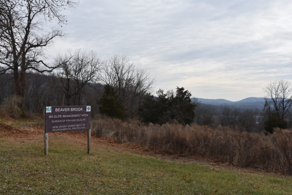 NJDEP| Fish & Wildlife | WMA of the Month - Beaver Brook