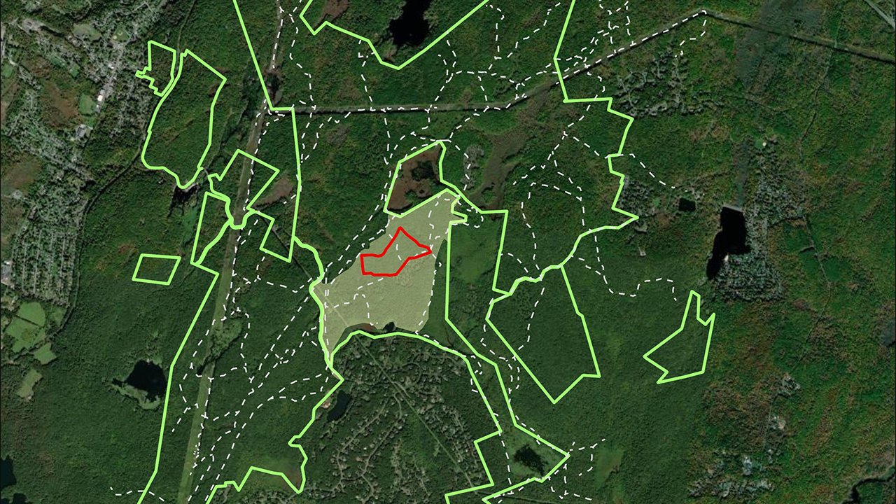 NJDEP| Fish & Wildlife | Comment Period Open for Forest Management ...