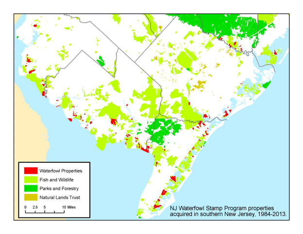 NJDEP| Fish & Wildlife | The New Jersey Waterfowl Stamp Program