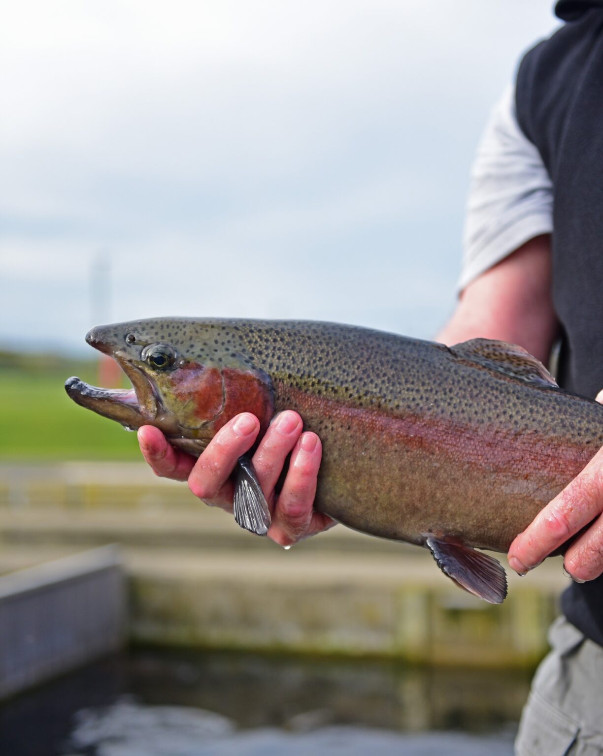 NJDEP| Fish & Wildlife | Fall Trout Stocking Updates