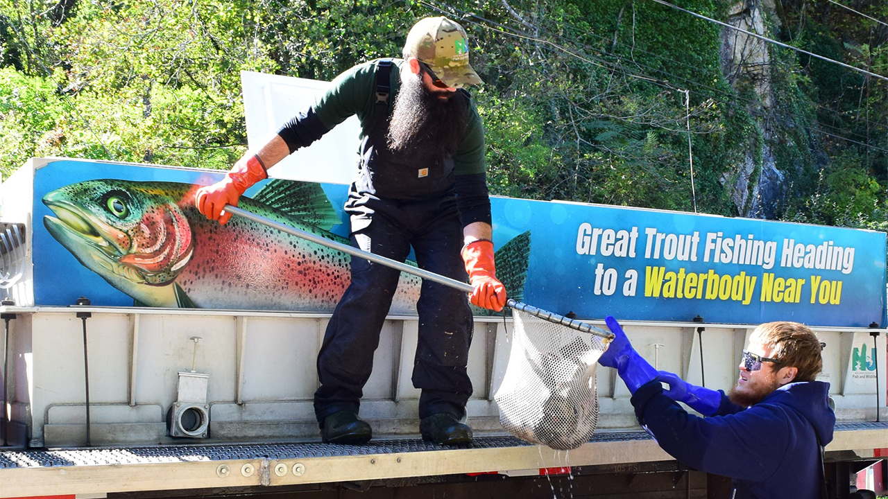 NJDEP| Fish & Wildlife | Fall Trout Stocking in Rivers Begins Two Weeks ...