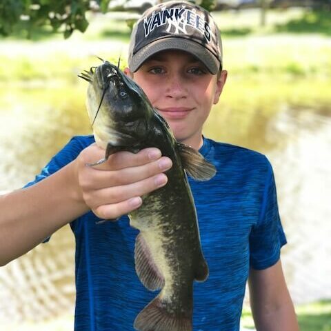 NJDEP| Fish & Wildlife | Brown Bullhead
