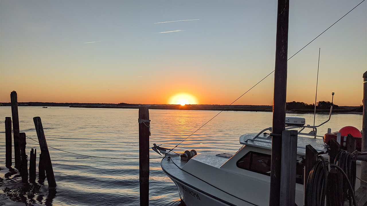 NJDEP| Fish & Wildlife | Delaware Bay Juvenile Finfish Trawl Survey ...